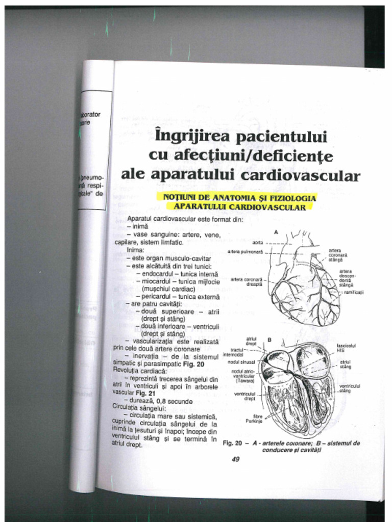Anatomia Aparatului Cardiovascular | PDF