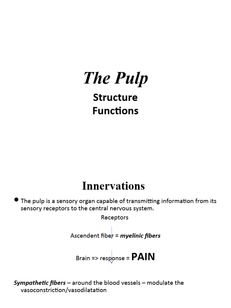 Curs 9-Pulp Pathology I-1 | PDF | Nerve | Axon