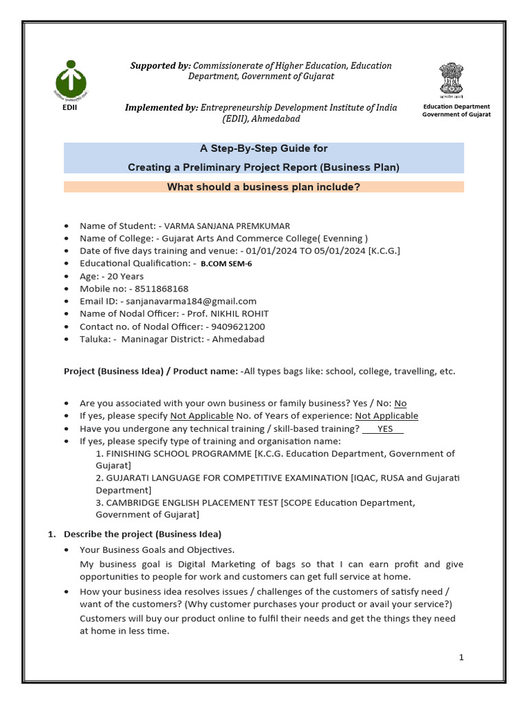 Business Plan - PPR - Format | PDF | Marketing | Product (Business)