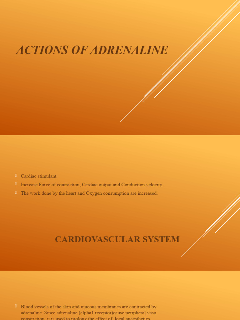 Actions of Adrenaline | PDF | Vasodilation | Heart