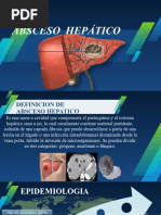 Anatomía y Fisiología Anorrectal | PDF | Recto | Sistema digestivo