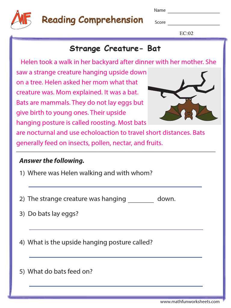 Bat Facts Reading Comprehension | PDF