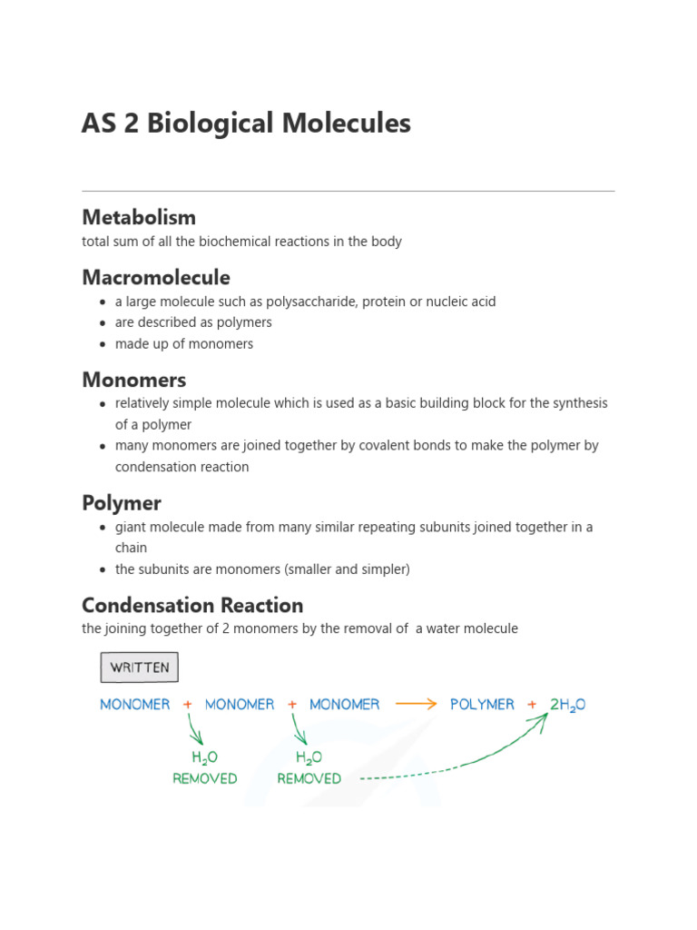 As 2 Biological Molecules | PDF | Collagen | Protein Structure