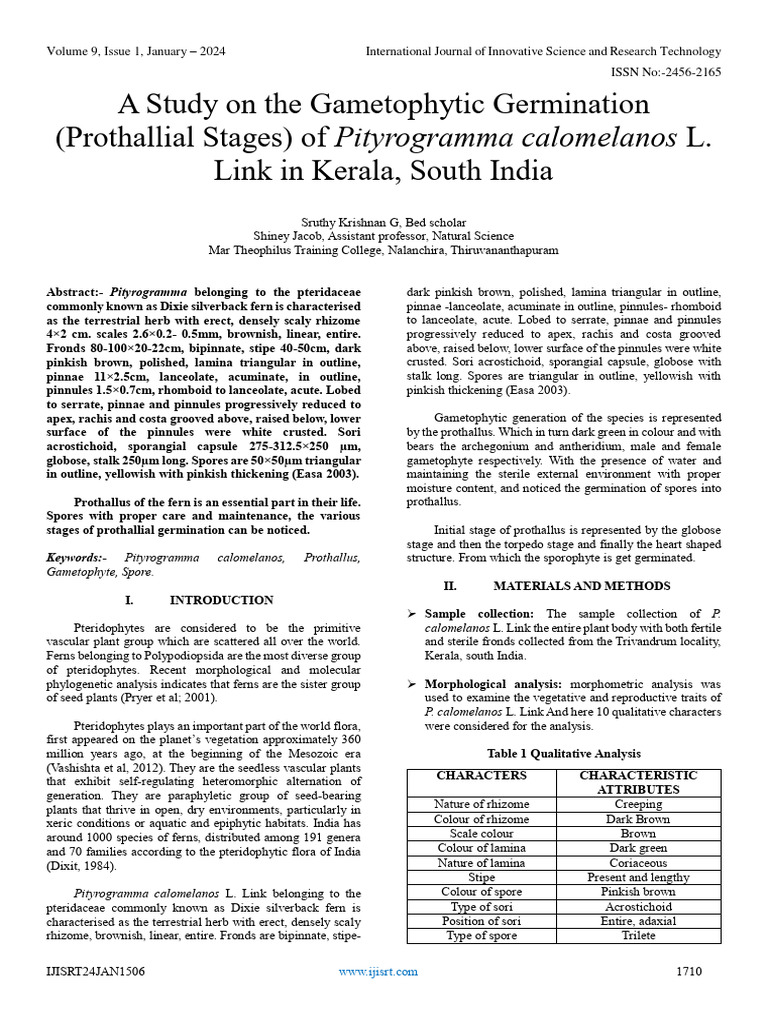 A Study on the Gametophytic Germination (Prothallial Stages) of ...