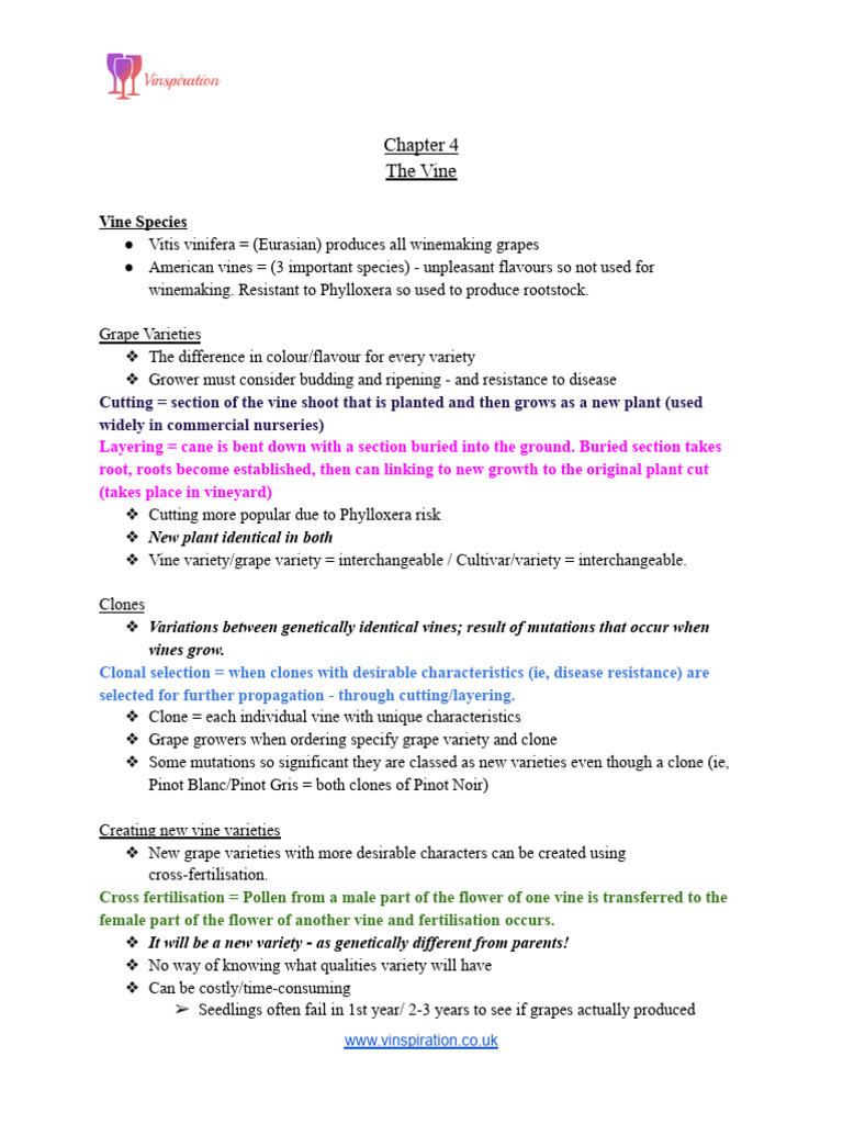 Chapter 4 - The Vine | PDF | Vitis | Fermented Drinks