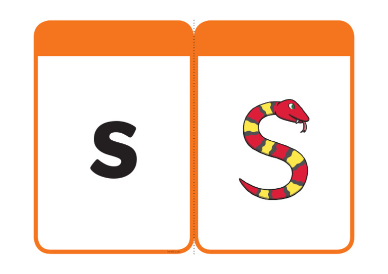 s Double-sided Flashcard | PDF