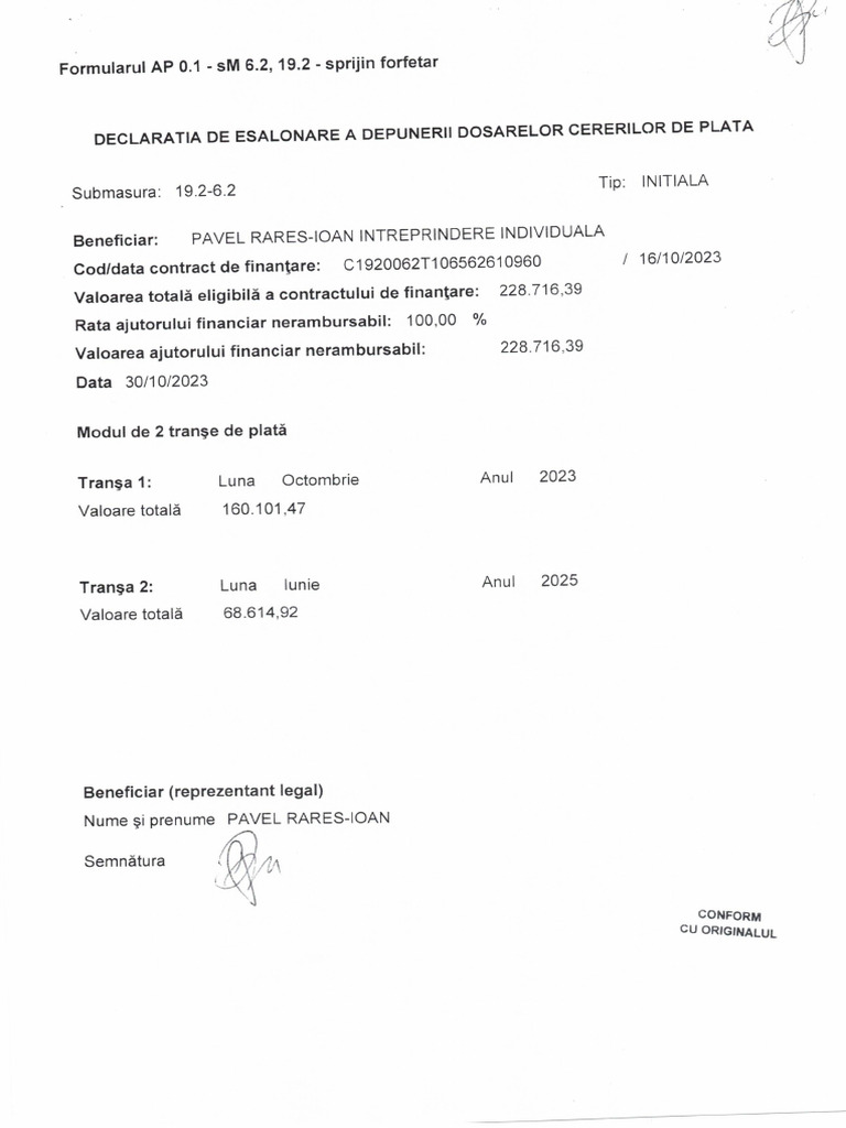Declaratie Esalonare | PDF