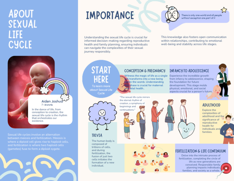 Sexual Life Cycle Brochure | Download Free PDF | Sexual Reproduction ...