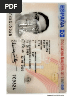 Dni David en Color | PDF