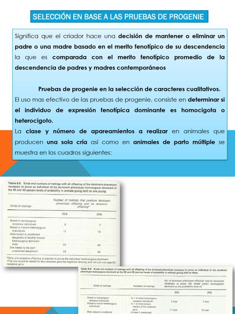 PRUEBAS DE PROGENIE | PDF | Cigosidad | Dominancia (Genética)