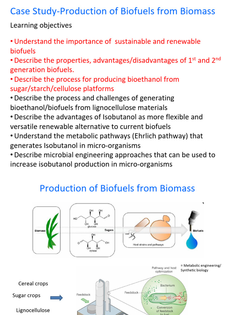 Part 5 Biofuels | PDF | Biofuel | Biorefinery