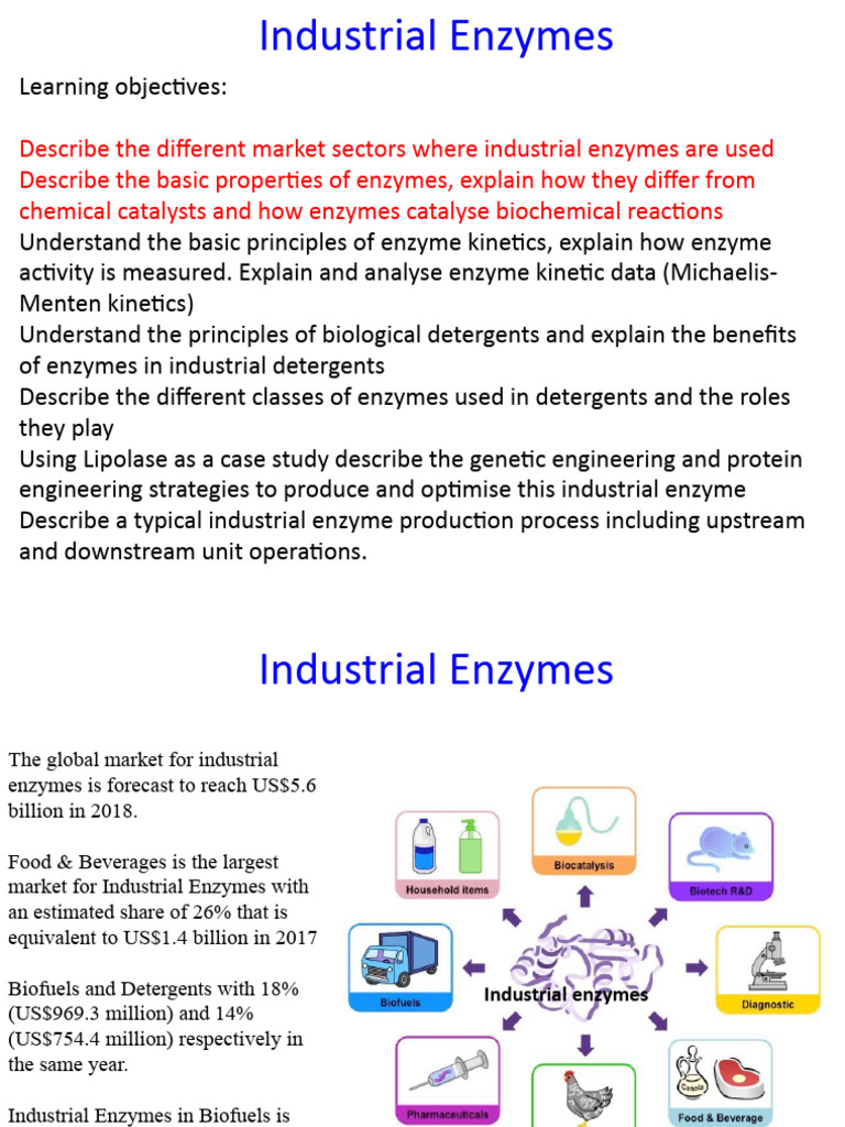 Part 4 Case Study - Industrial Enzymes | PDF | Enzyme Kinetics | Enzyme