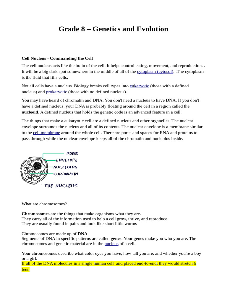 Notes - Genetics and Evolution 1 | PDF | Cell Nucleus | Cell (Biology)
