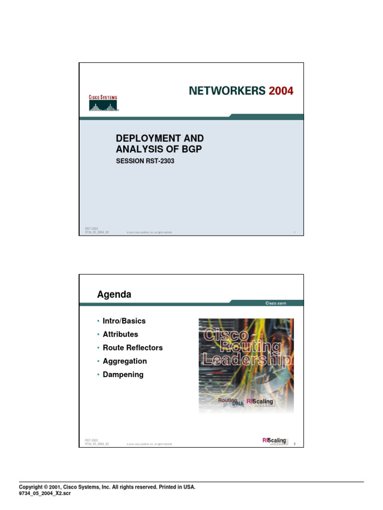 BGP RST 2303 | PDF | Computer Architecture | Computer Network