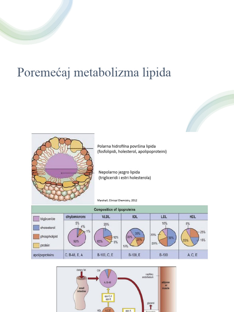 Poremećaj Metabolizma Lipida | PDF