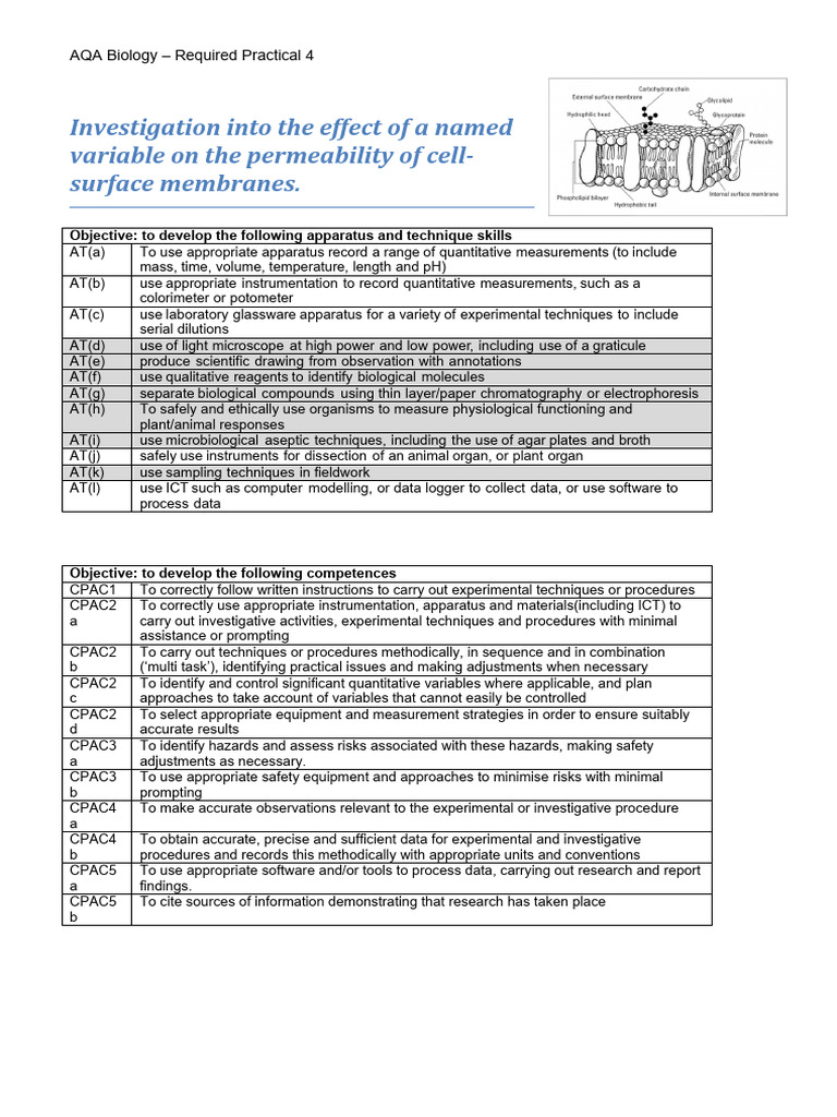 Beetroot Membrane Permeability Experiment | PDF | Cell Membrane ...