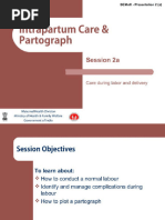 WHO 2022 Partograph | PDF