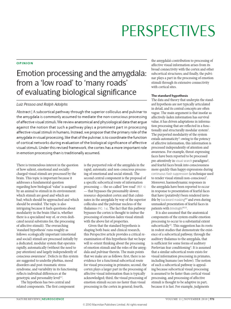 Pessoa2010 Emotion Processing and The Amydgala | PDF | Visual Cortex ...