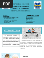 Contextura Corporal | PDF