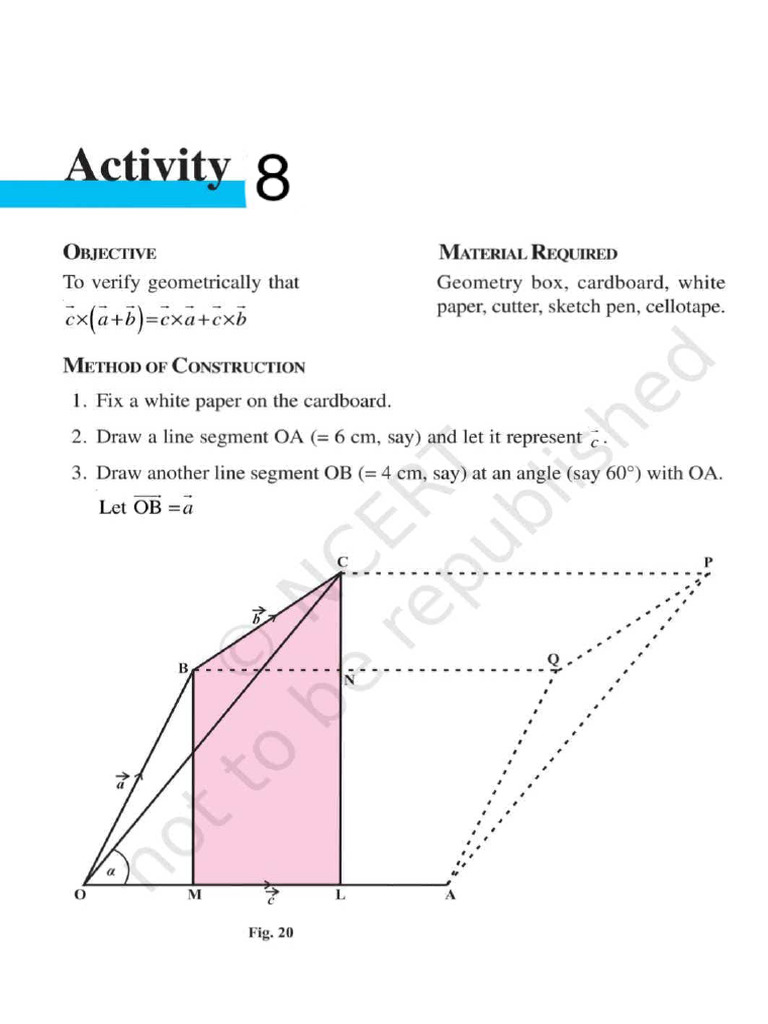 XII - Activity 8 | PDF