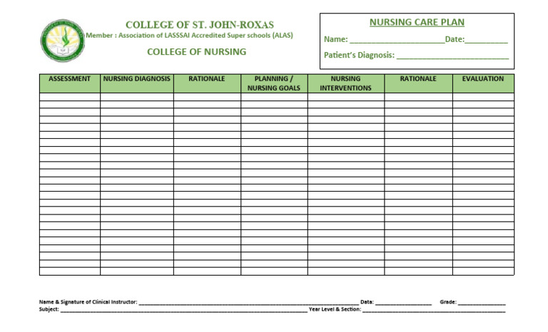 NURSING CARE PLAN Template | PDF