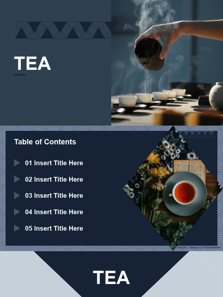 DeepBlue Very Beautiful Templatepptx 2 | PDF | Writing | Typography
