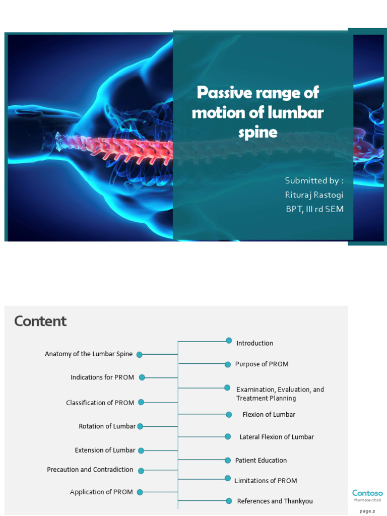 Passive Lumbar ROM Exercises Guide | PDF | Vertebral Column | Spinal Cord