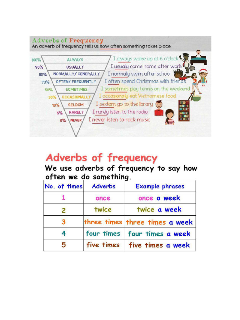 Adverbs of Frequency Chart | PDF