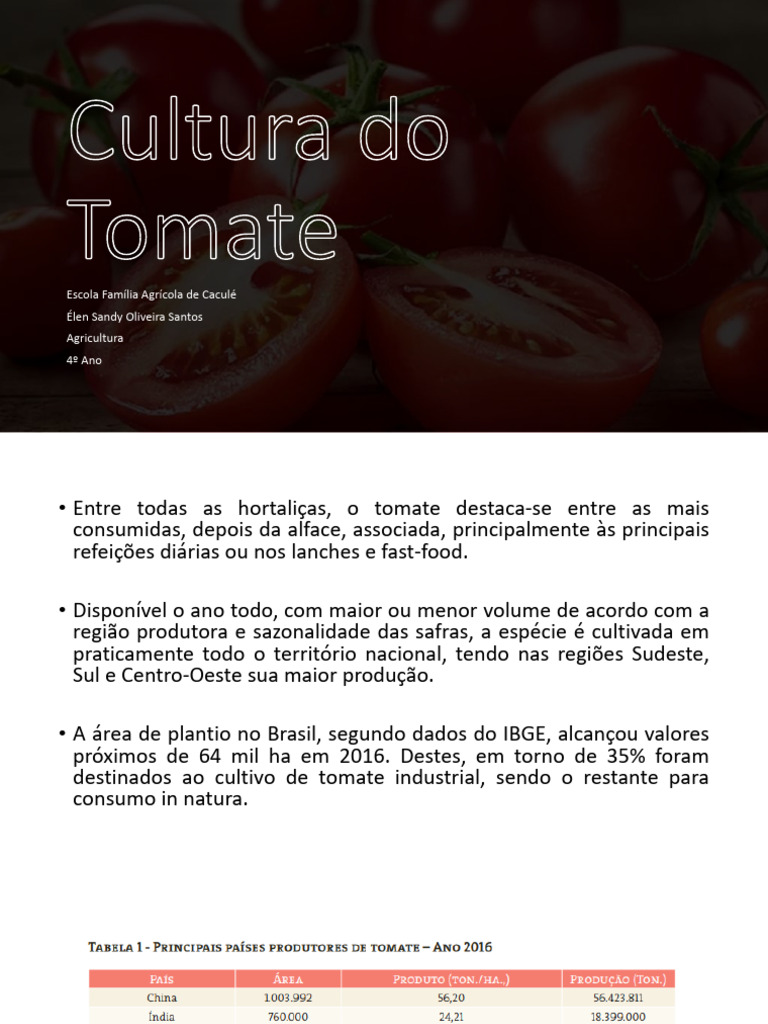 4º Ano - Cultura Do Tomate | PDF | Tomate | Agricultura