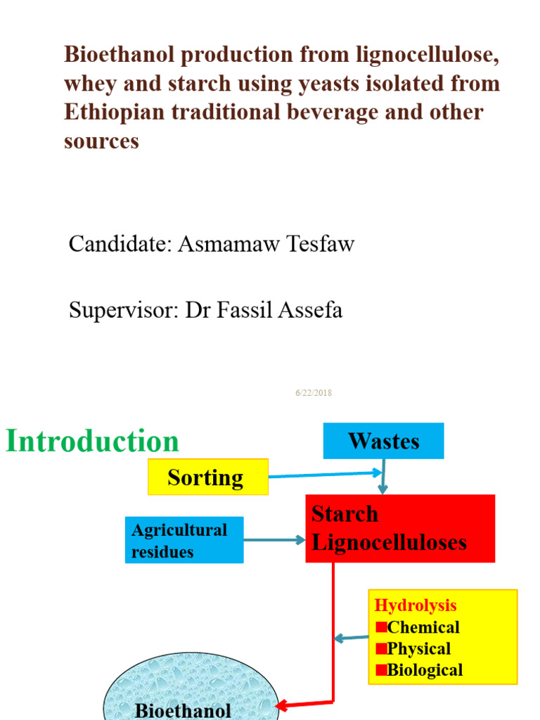 Bioethanol Production | PDF | Yeast | Fermentation