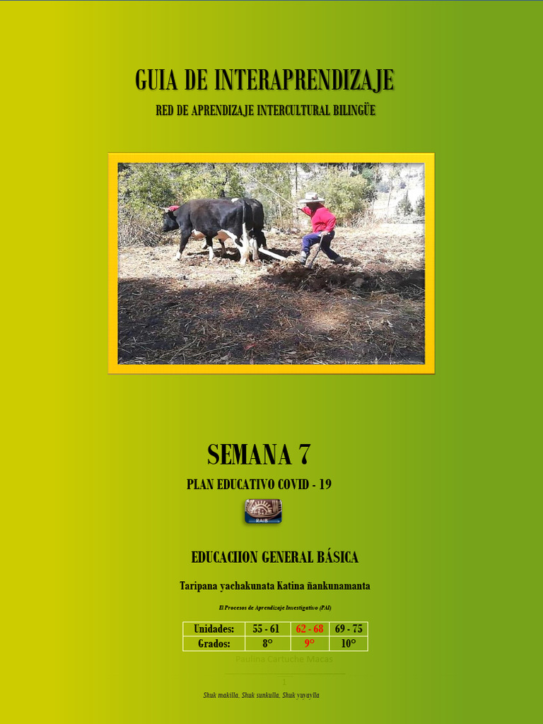 S 7 Eess Noveno | PDF | Imperio Inca | Andes