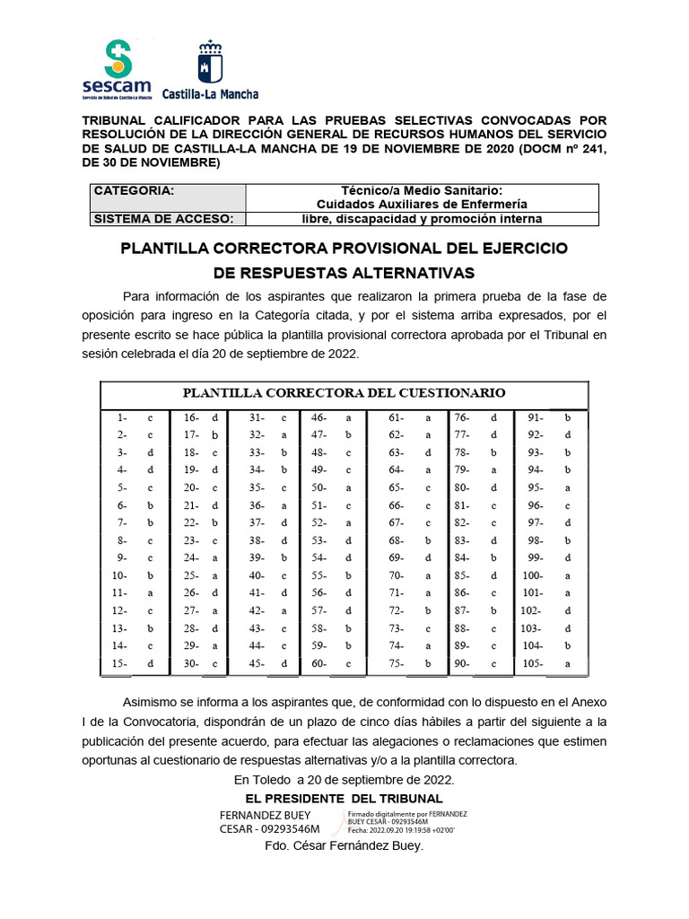 Plantilla Correctora Provisional Tcae | PDF