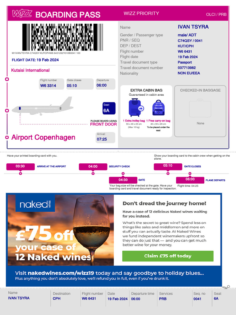 Wizz Air | Download Free PDF | Transport | Aviation