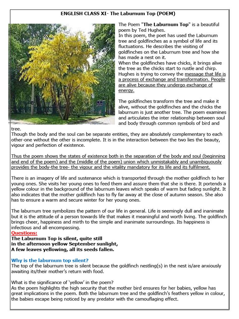 The Laburnum Top - Class XI | PDF