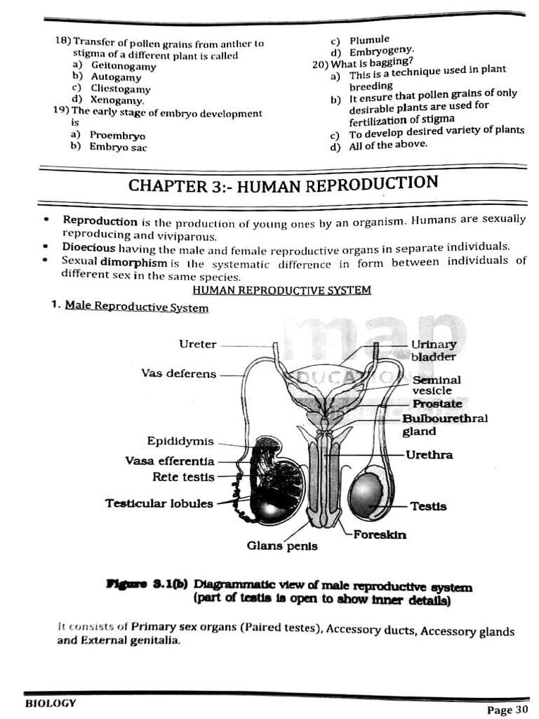Human Reproduction | PDF | Menstrual Cycle | Luteinizing Hormone