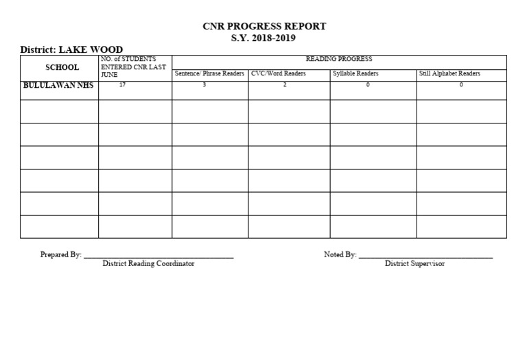 CNR Progress Report | PDF