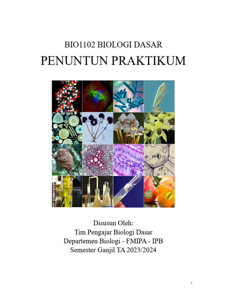 03 B Opera Gelembung Sabun | PDF