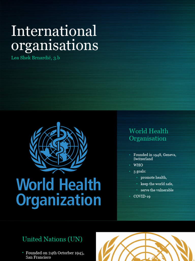 Six Key International Organizations | PDF
