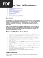 Hay Infusion | PDF | Microorganism | Water