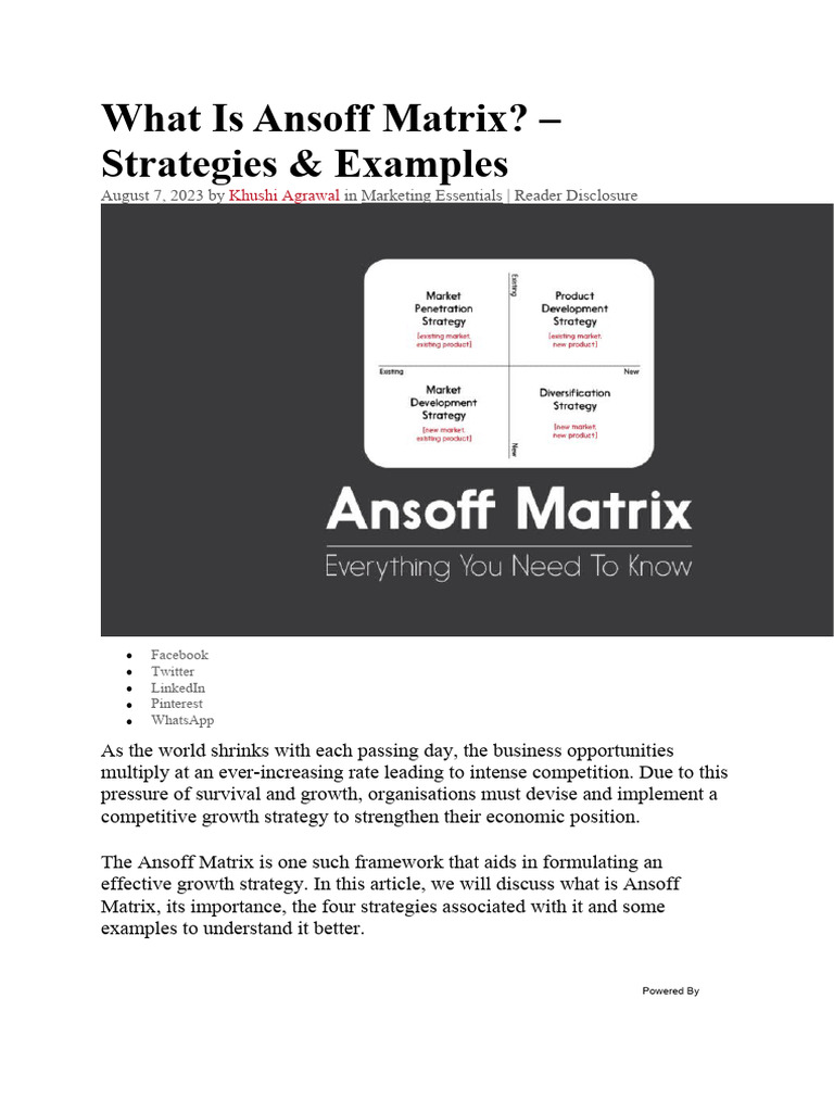 Ansof Model | PDF | Diversification (Finance) | Financial Markets