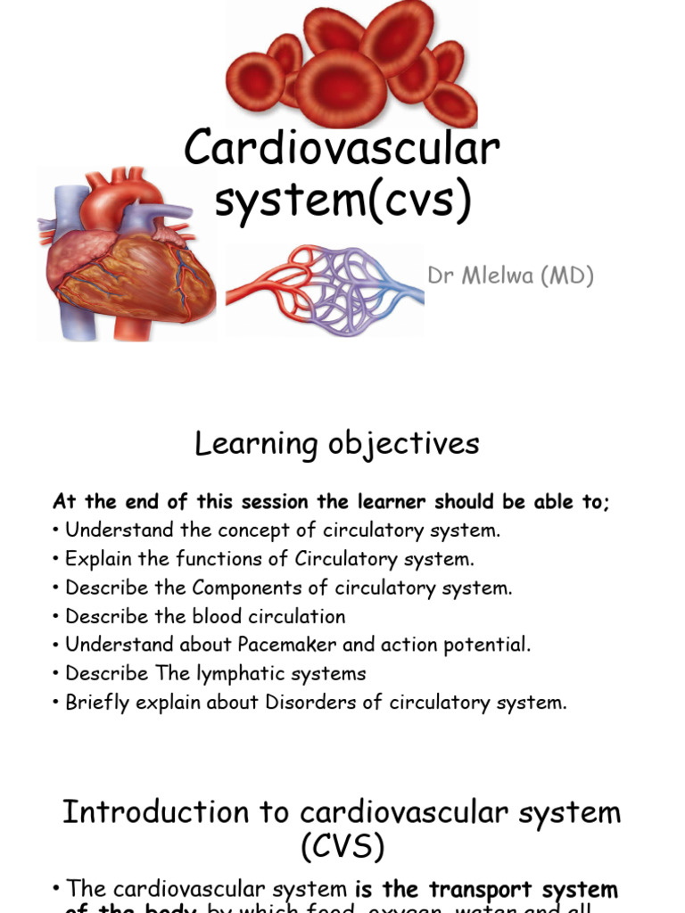 7.cardiovascular System (CVS) | PDF | Heart | Electrocardiography
