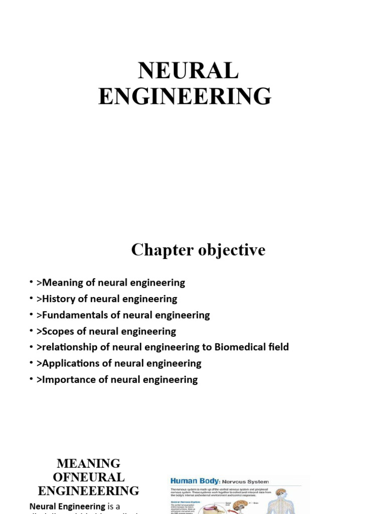 8.neural Engeneerimng | PDF | Neurological Disorders | Nervous System
