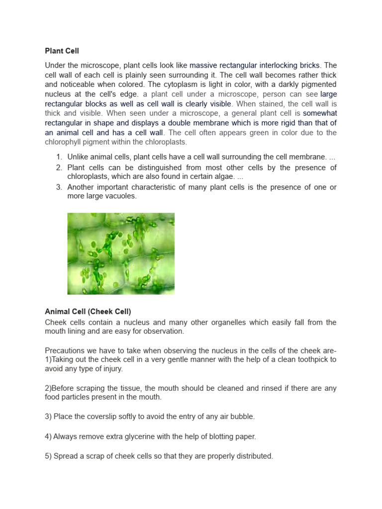 Laboratory | PDF | Cell (Biology) | Chloroplast