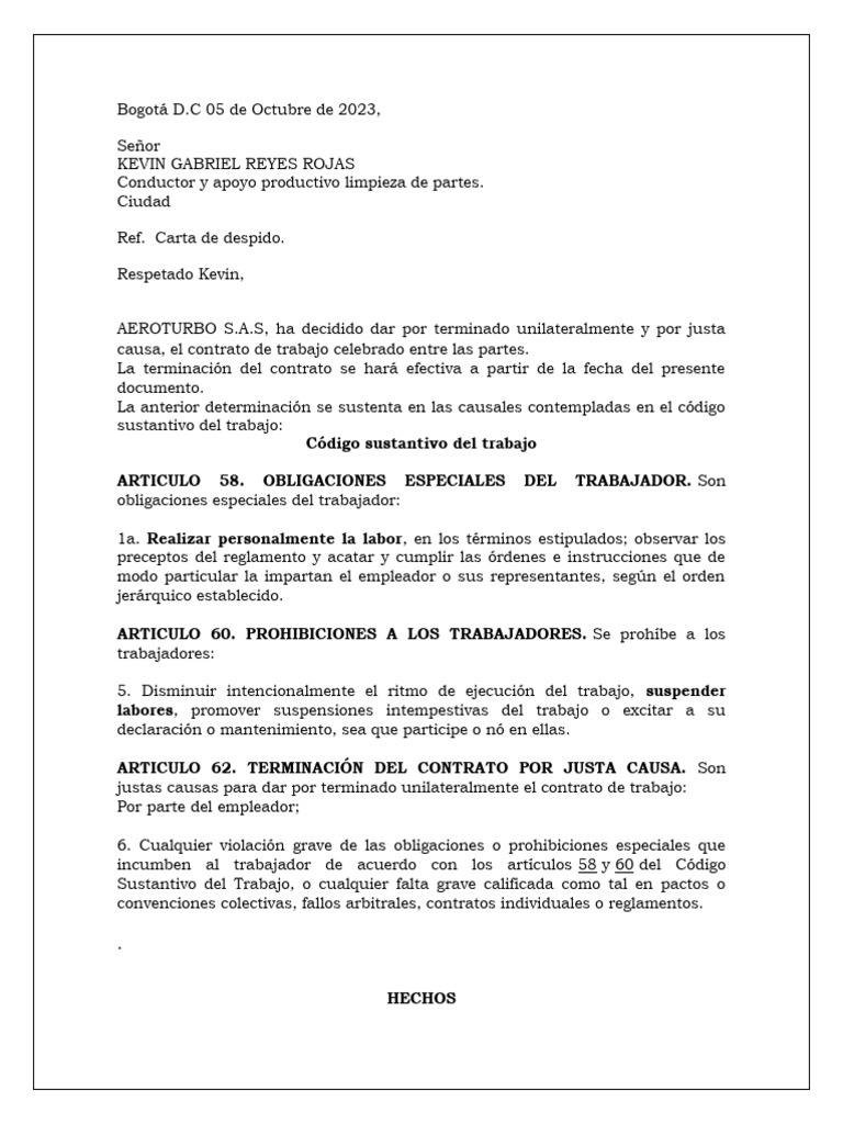 Carta de Despido Kevin | PDF | Derecho laboral | Gobierno