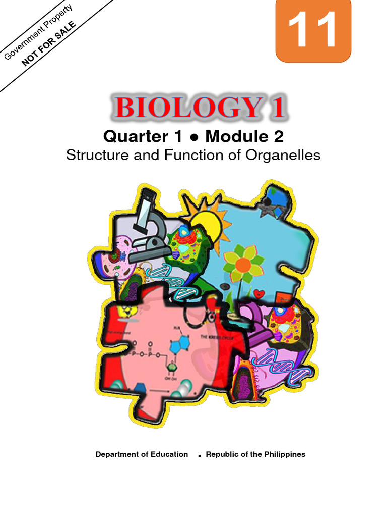 BIOLOGY1_Q1_Module 2_ Structure and Function of Organelles | PDF ...