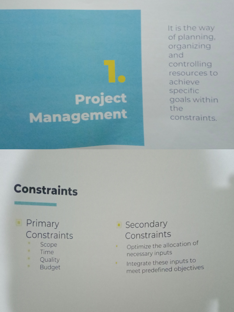 Project Management (Business Computing) | PDF