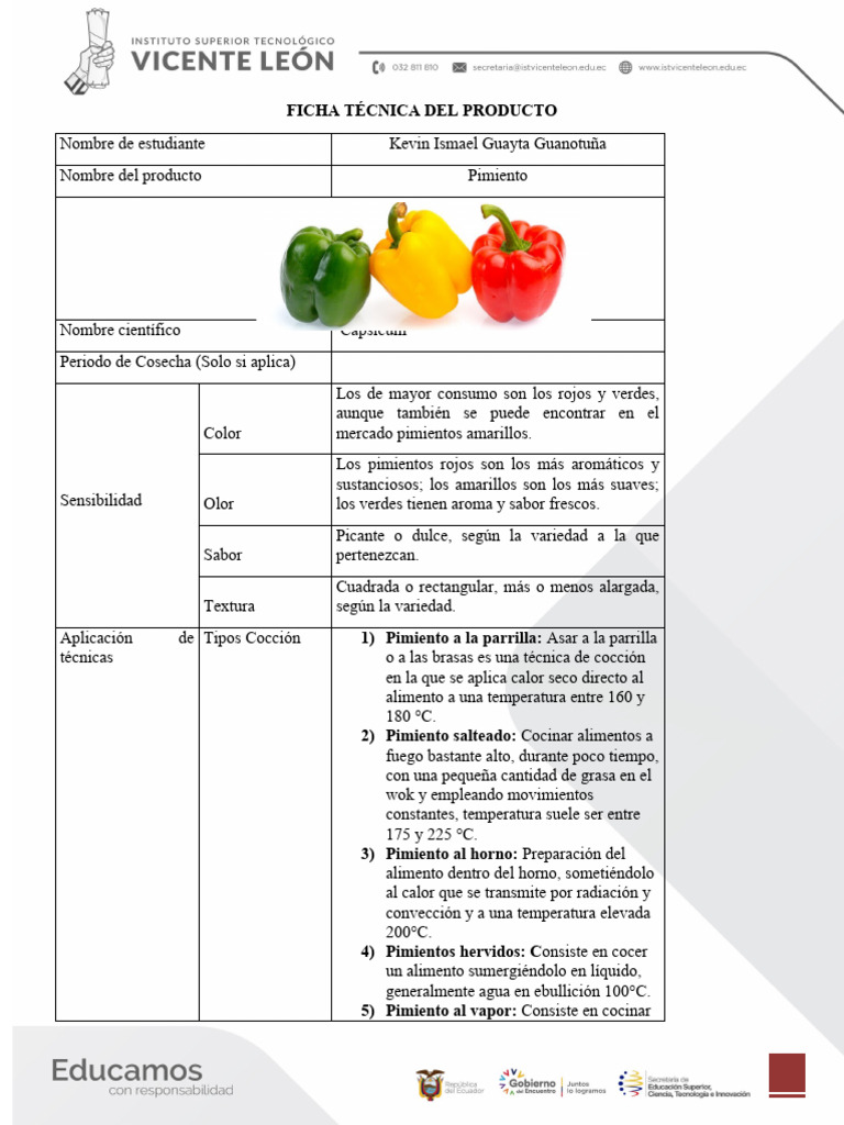 FICHA-PIMIENTO-KGFI | PDF | Cocinando | Pimiento