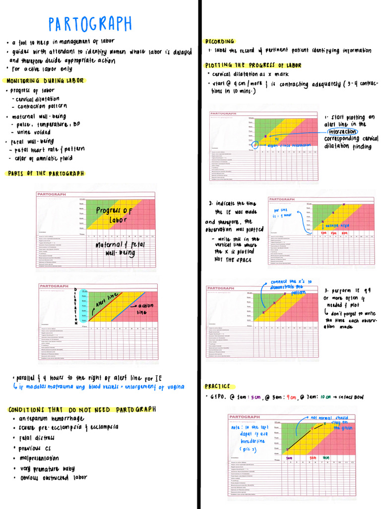 PARTOGRAPH | PDF | Childbirth | Health Care