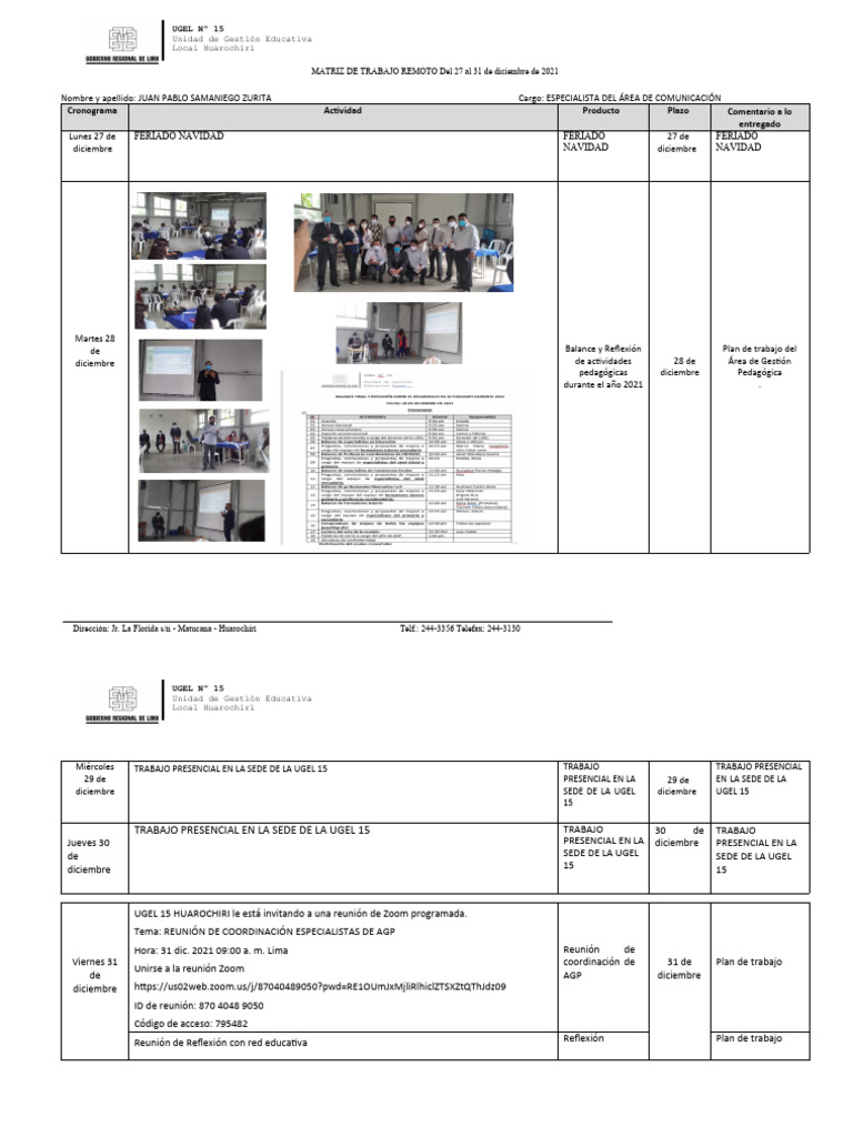 Matriz de Trabajo Remoto Del 20 Al 25 de Diciembre | PDF