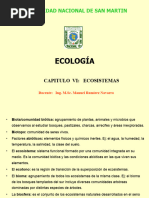 Mapa Conceptual de Ecosistema | PDF | Ecosistema | Suelo